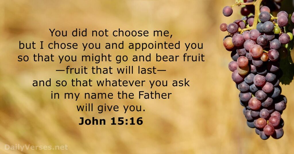Bible Verses About God Choosing Us - Bible Paradise