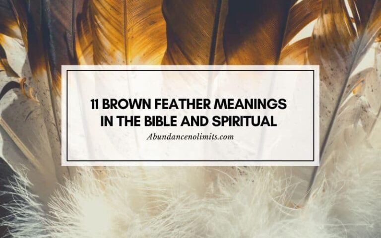Brown Feather Meaning In The Bible - Bible Paradise