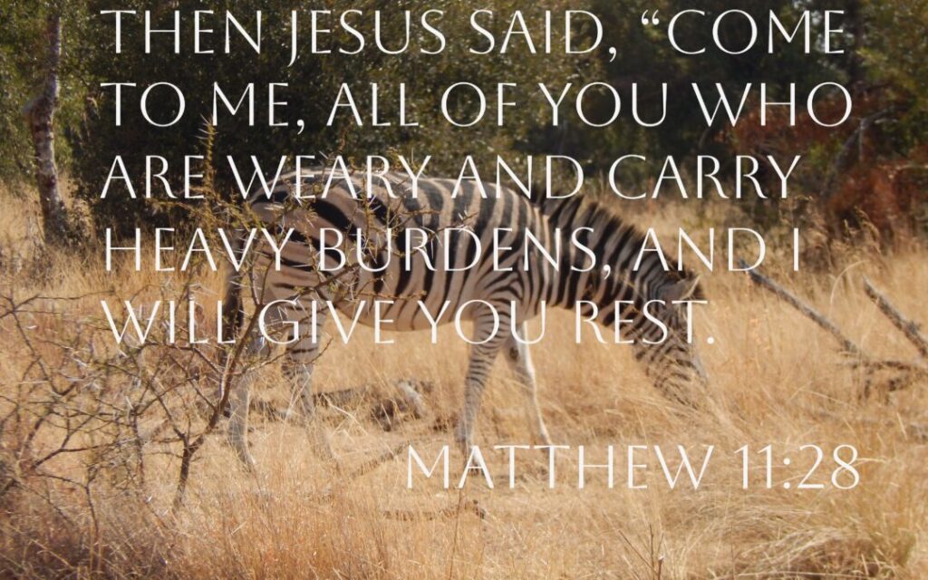 Examples Of Desperation In The Bible - Bible Paradise