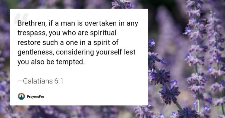 Hold Each Other Accountable Bible Verse - Bible Paradise