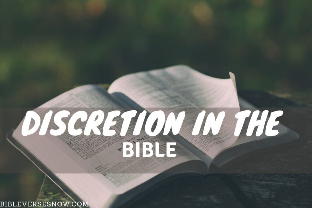 Meaning Of Discretion In The Bible - Bible Paradise