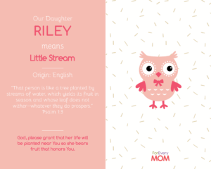 Meaning Of Riley In The Bible - Bible Paradise