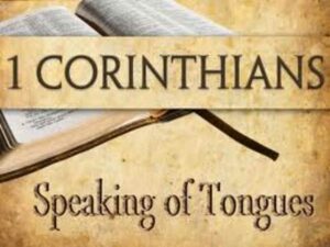 Meaning Of Shondo In The Bible - Bible Paradise