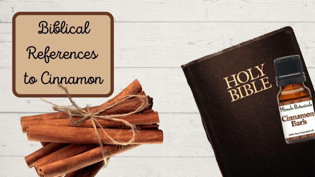Spiritual Meaning Of Spices In The Bible - Bible Paradise