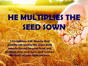 The Power Of The Seed In The Bible - Bible Paradise