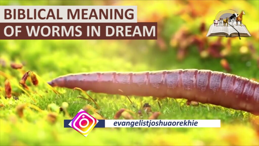 What Do Worms Symbolize In The Bible - Bible Paradise
