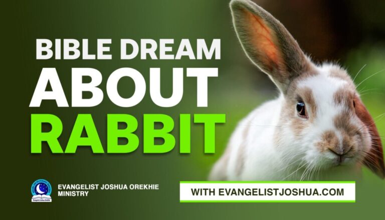 What Does A Rabbit Symbolize In The Bible - Bible Paradise