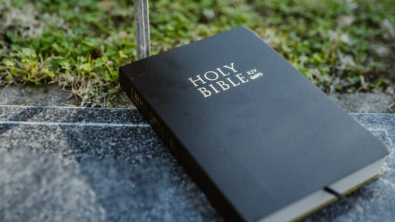 What Does Rodriguez Mean In The Bible - Bible Paradise