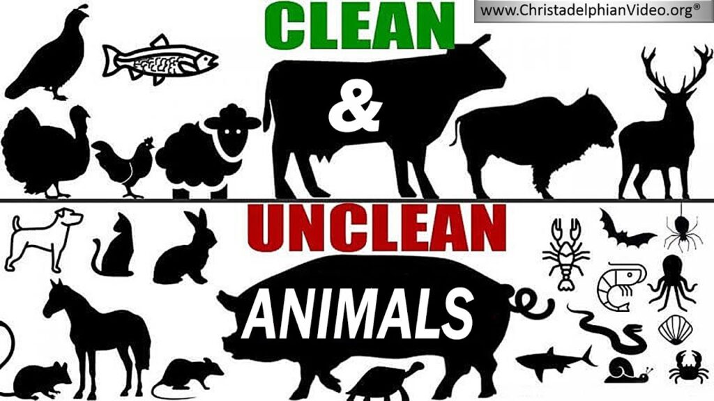 What Is Unclean In The Bible - Bible Paradise